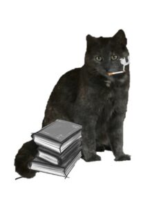 Camus.cat – Somewhat indifferent